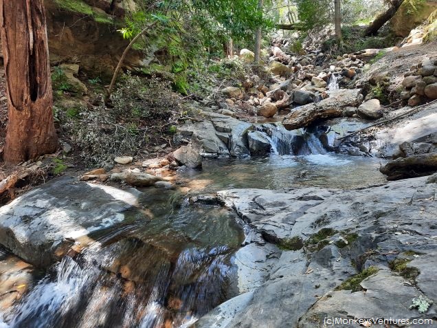 Escape to Uvas Canyon Park: Hiking & Chasing Waterfalls near San Jose ...
